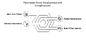 Pancreatic Stones: Symptoms, Causes & Best Treatment options