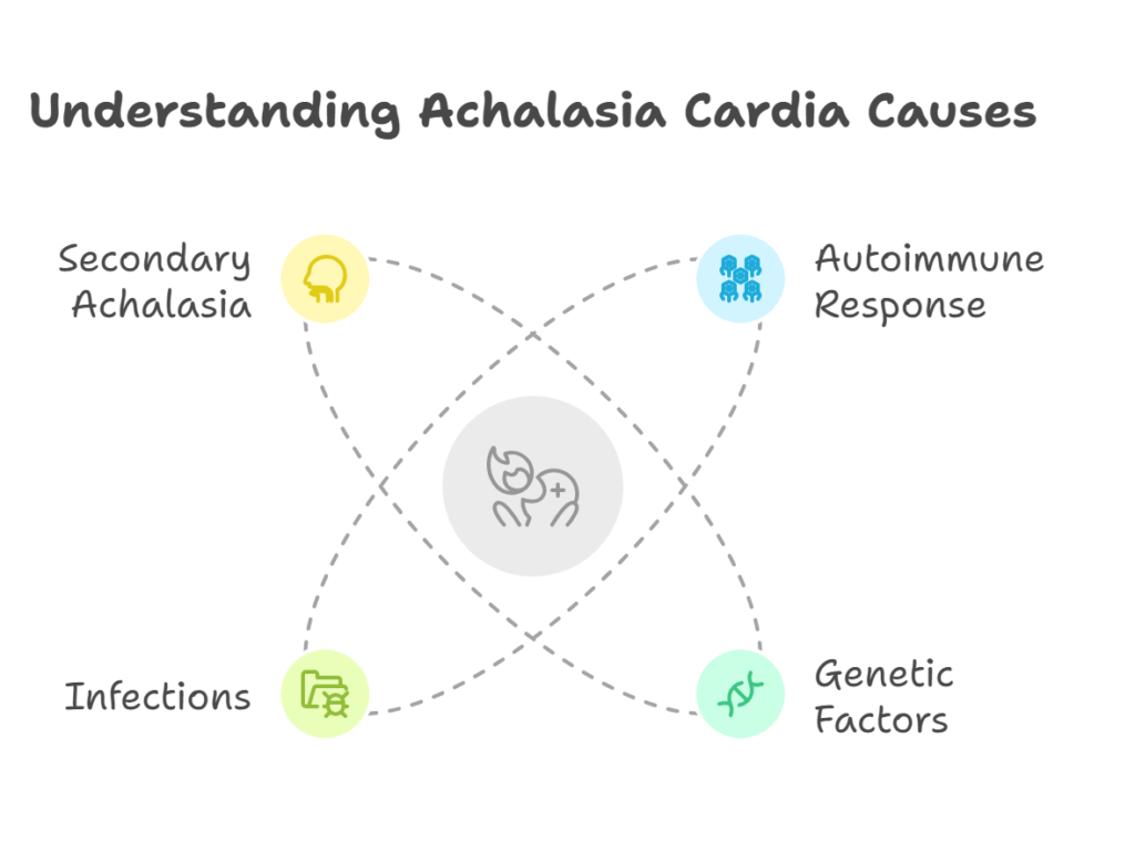 Achalasia Cardia: Causes, Symptoms & Best Treatment Options